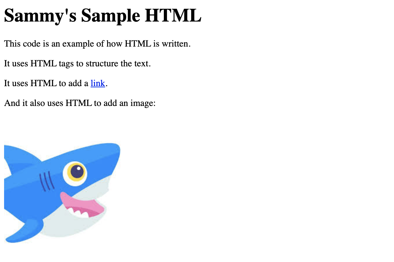 Image Viewer Html Grossapplication